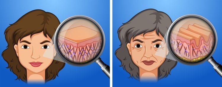 O que é flacidez - causas e tratamentos | Palladium Estética